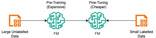 Customizing Foundation Models: A Guide to Fine-Tuning – Alok's blog